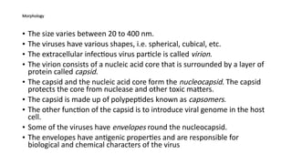 Microbiology virus and its roles in human | PPTX