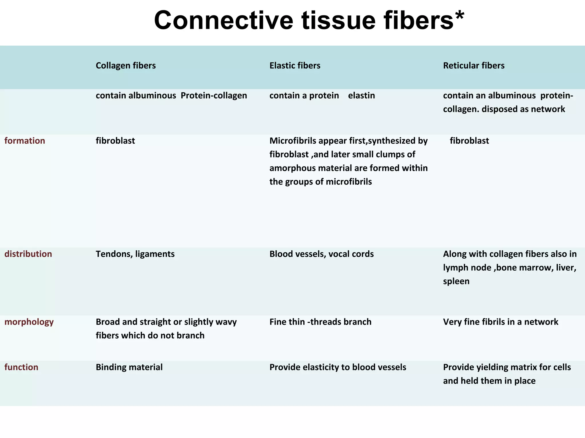 Connective tissue - types of connective tissue | PPT