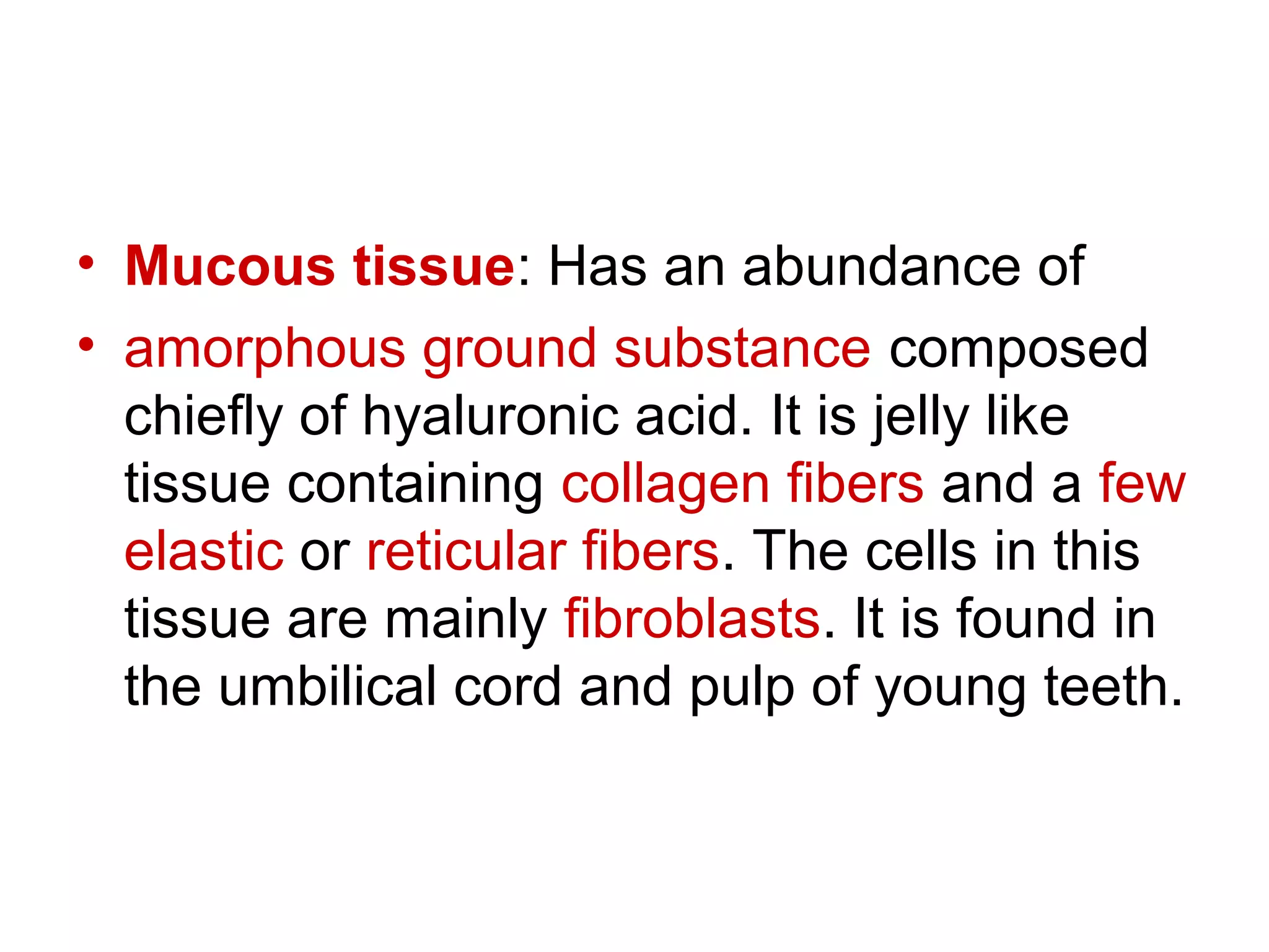 Connective tissue - types of connective tissue | PPT
