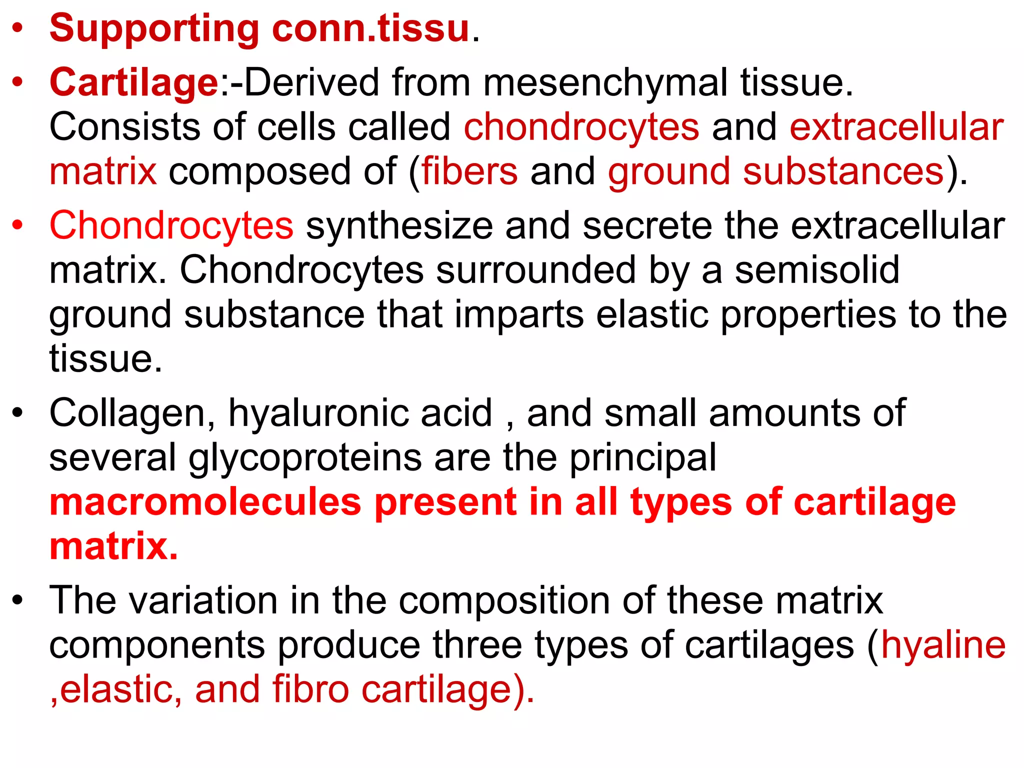 Connective tissue - types of connective tissue | PPT