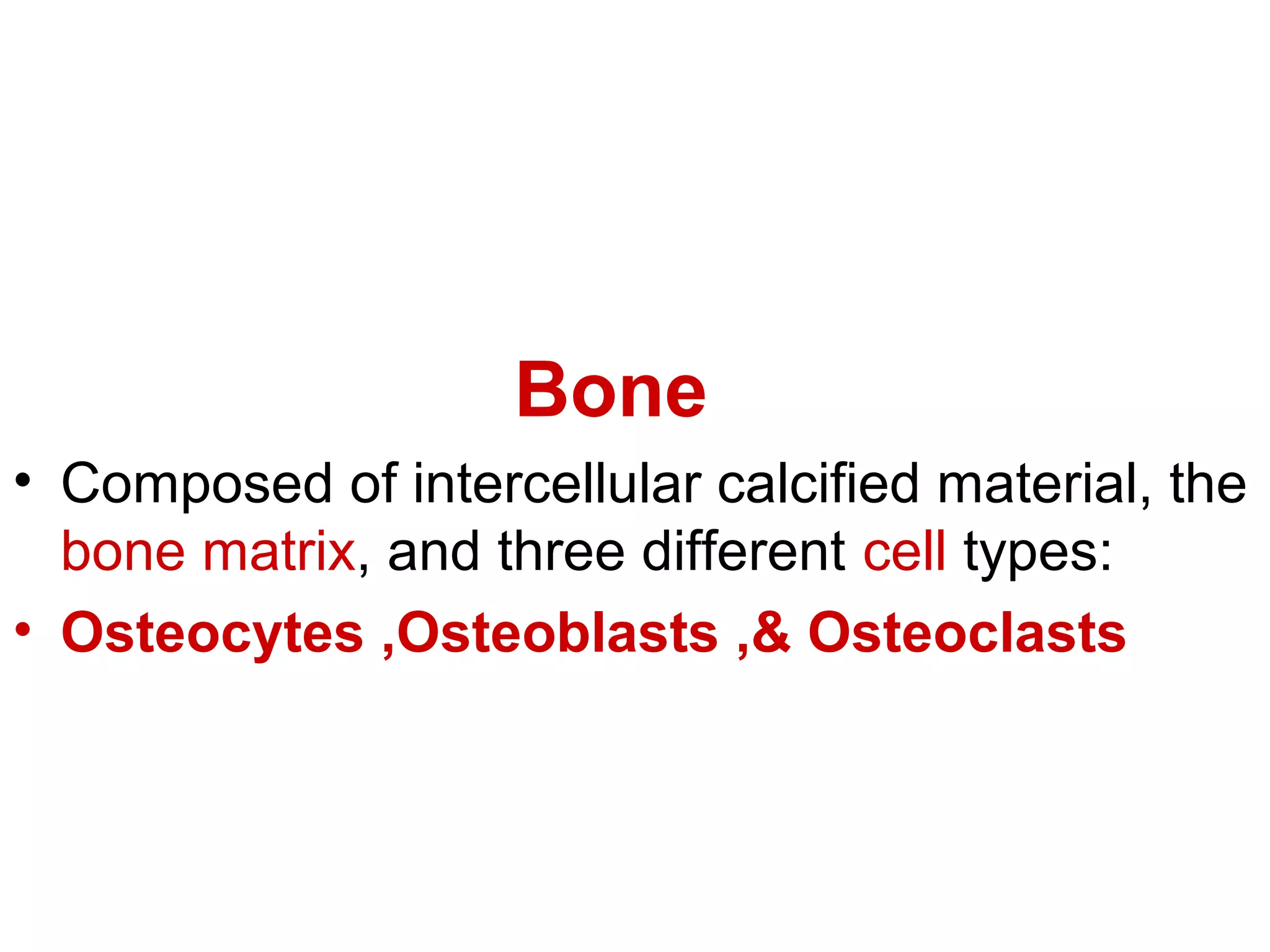 Connective tissue - types of connective tissue | PPT