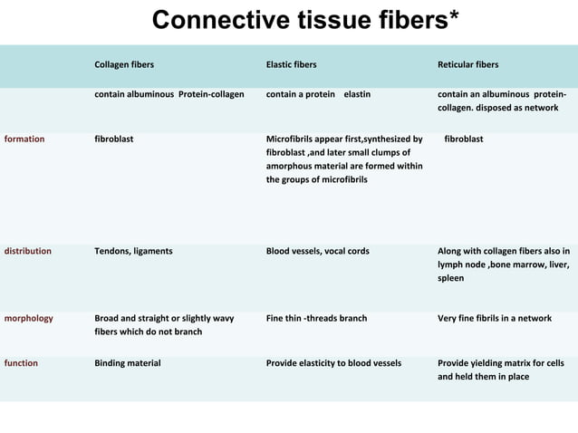 Connective tissue - types of connective tissue | PPT | Biological ...