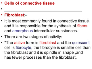 Connective tissue - types of connective tissue | PPT