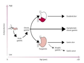 lec8& 9-campylobacter and h. pylori bacteriology.pptx