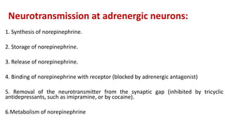 Lec 8 adrenergic system (1).pdf 2000245 | PPT