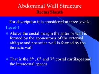 Lec_8_Anatomy Abdominal wall-15-4-25.pdf