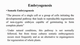 Lec 8 embryogensis | PPT