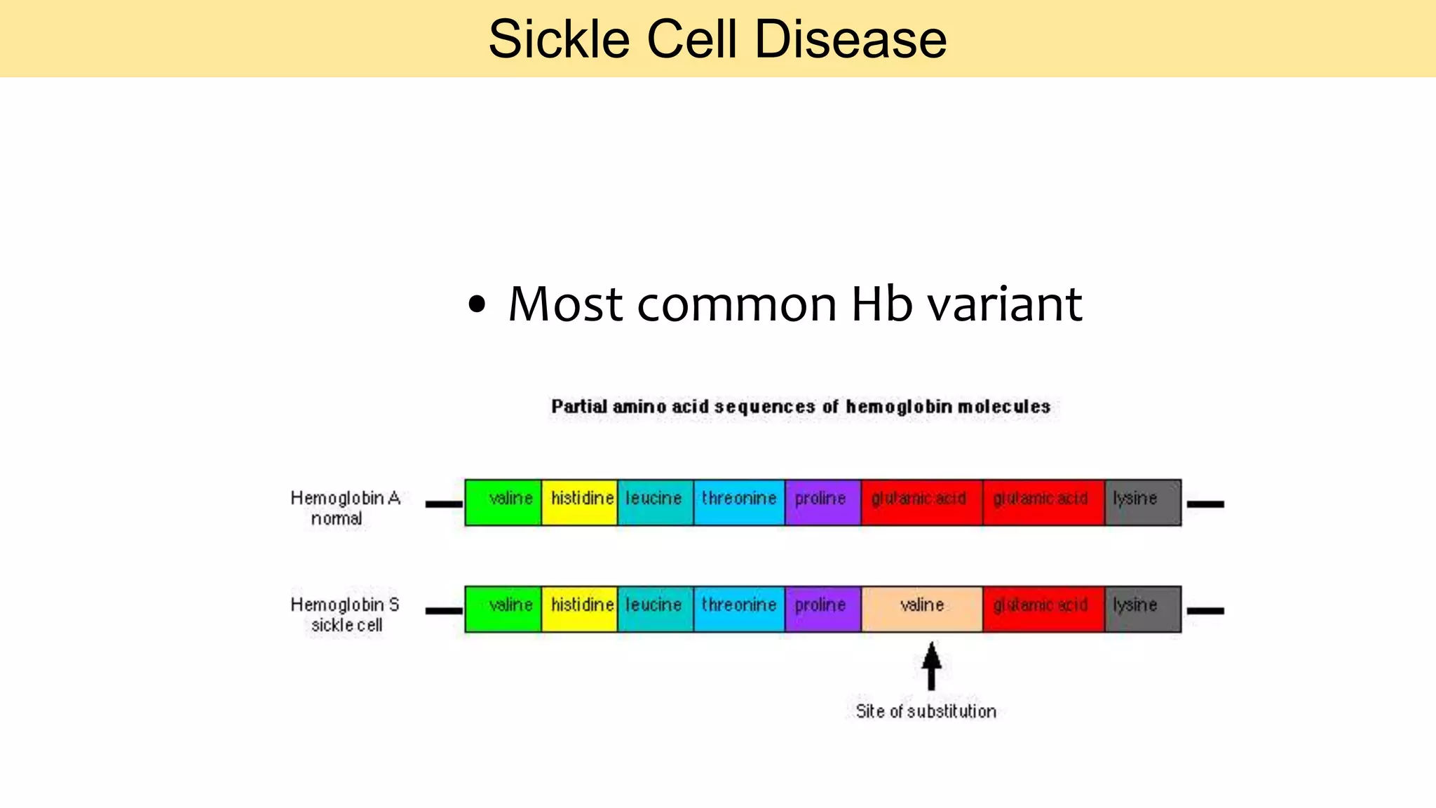 Lec8_hematology_normal.pptx | Blood Disorders | Diseases and Conditions