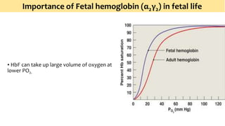 Lec8_hematology_normal.pptx | Blood Disorders | Diseases and Conditions