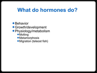 Lec8 Hormonal Control | PPT