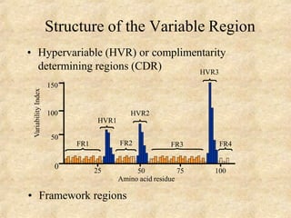 Lec8 immunoglobulins | PPT