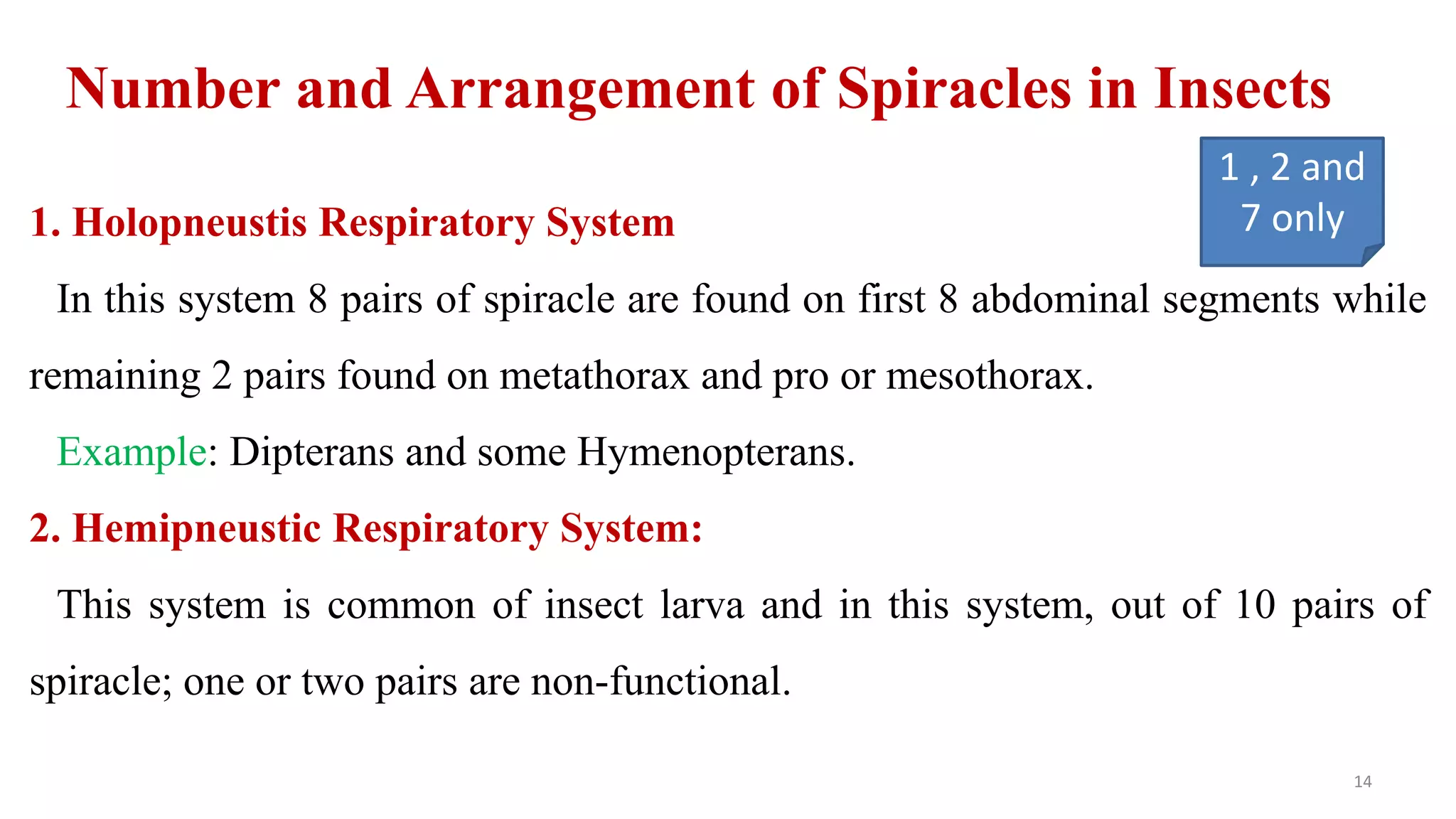 Insect respiratory system | PPT