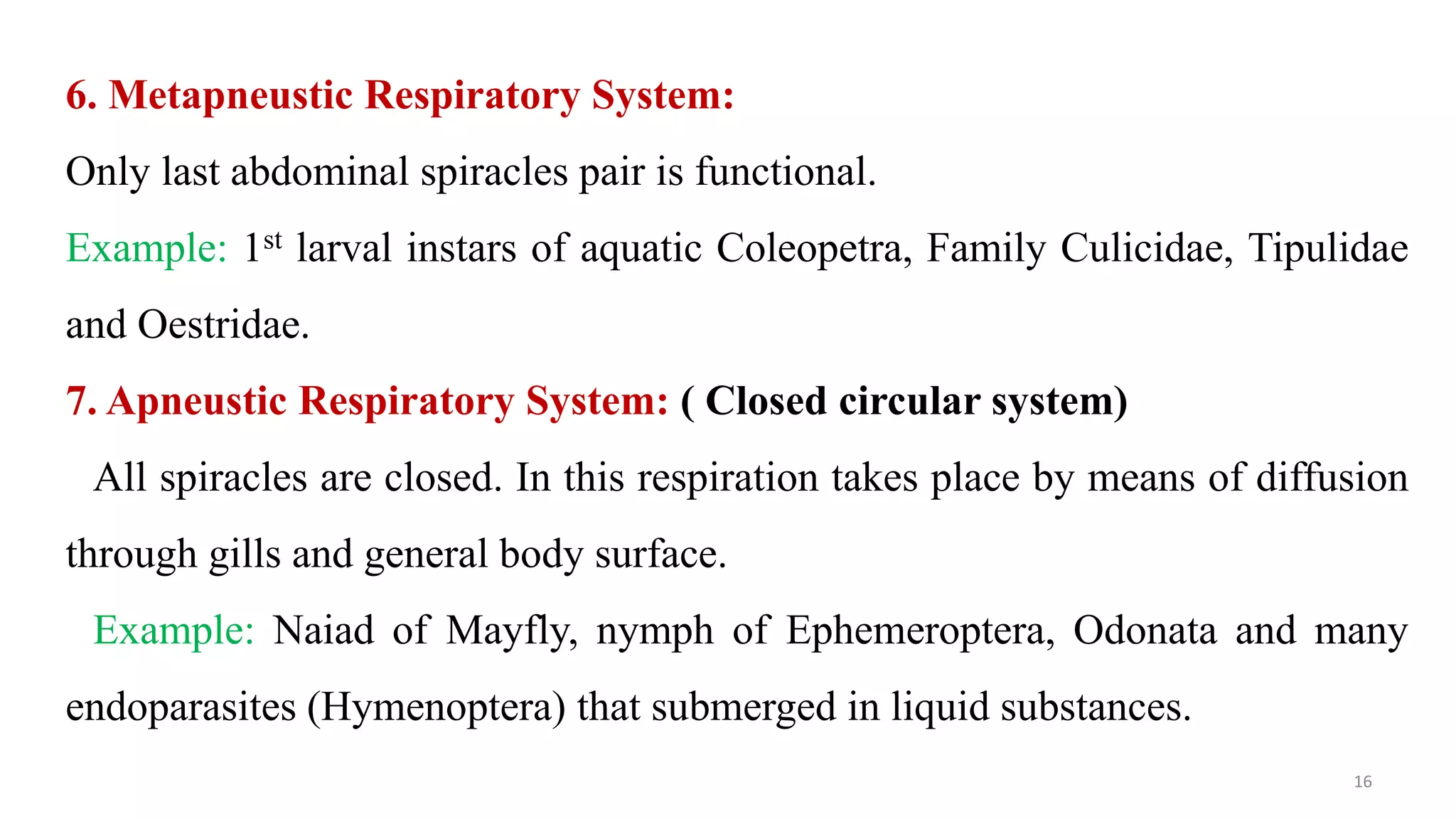 Insect respiratory system | PPT