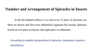 Insect respiratory system | PPT