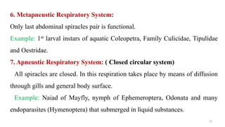Insect respiratory system | PPT