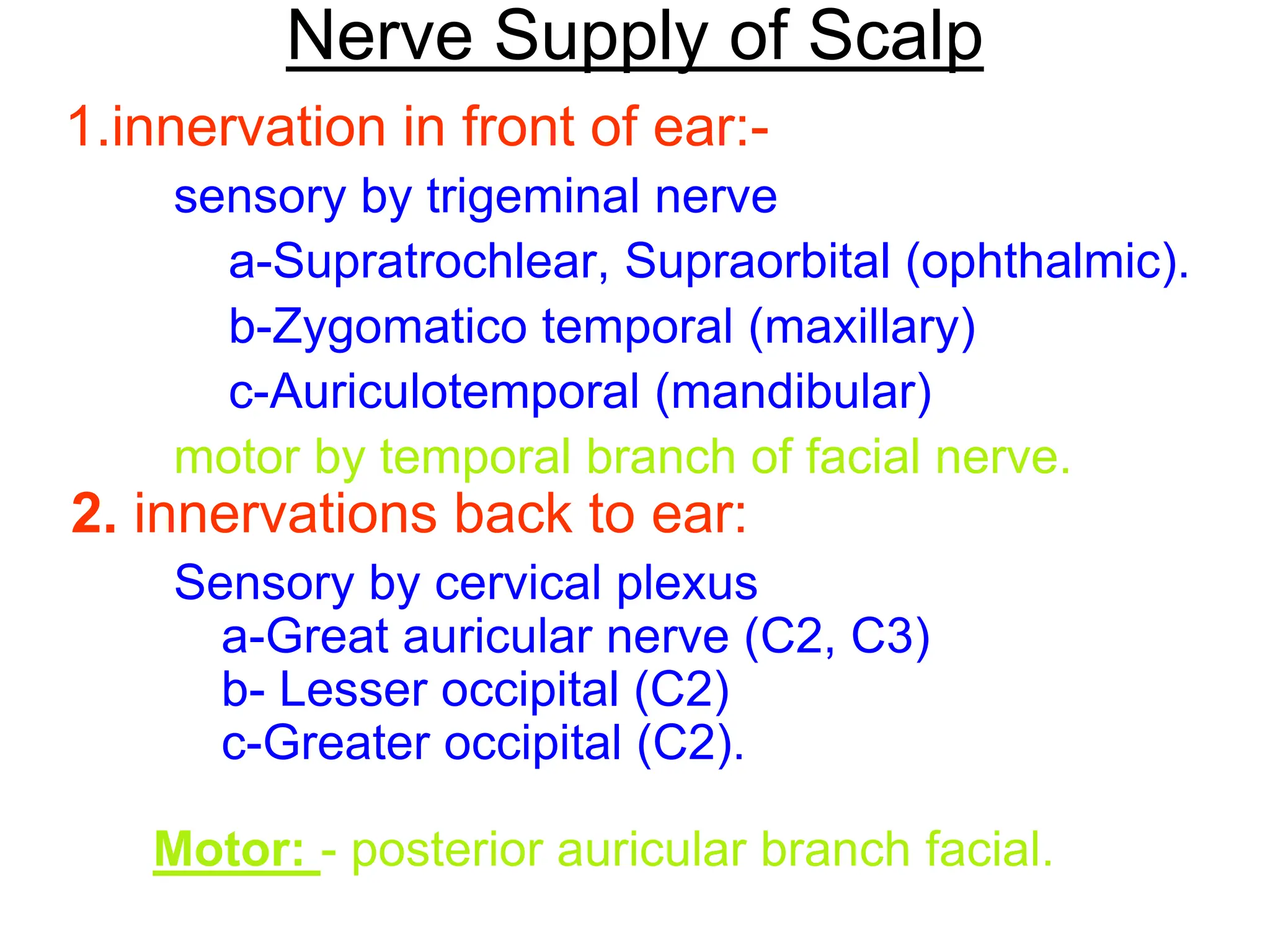 Lec 8 Superficial Structures of Head & Neck scalp.ppt