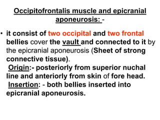 Lec 8 Superficial Structures of Head & Neck scalp.ppt