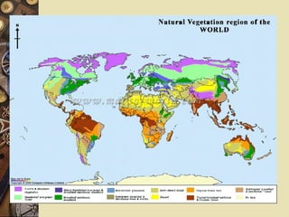 Lec 8 Types of Maps(Additional Material).ppt