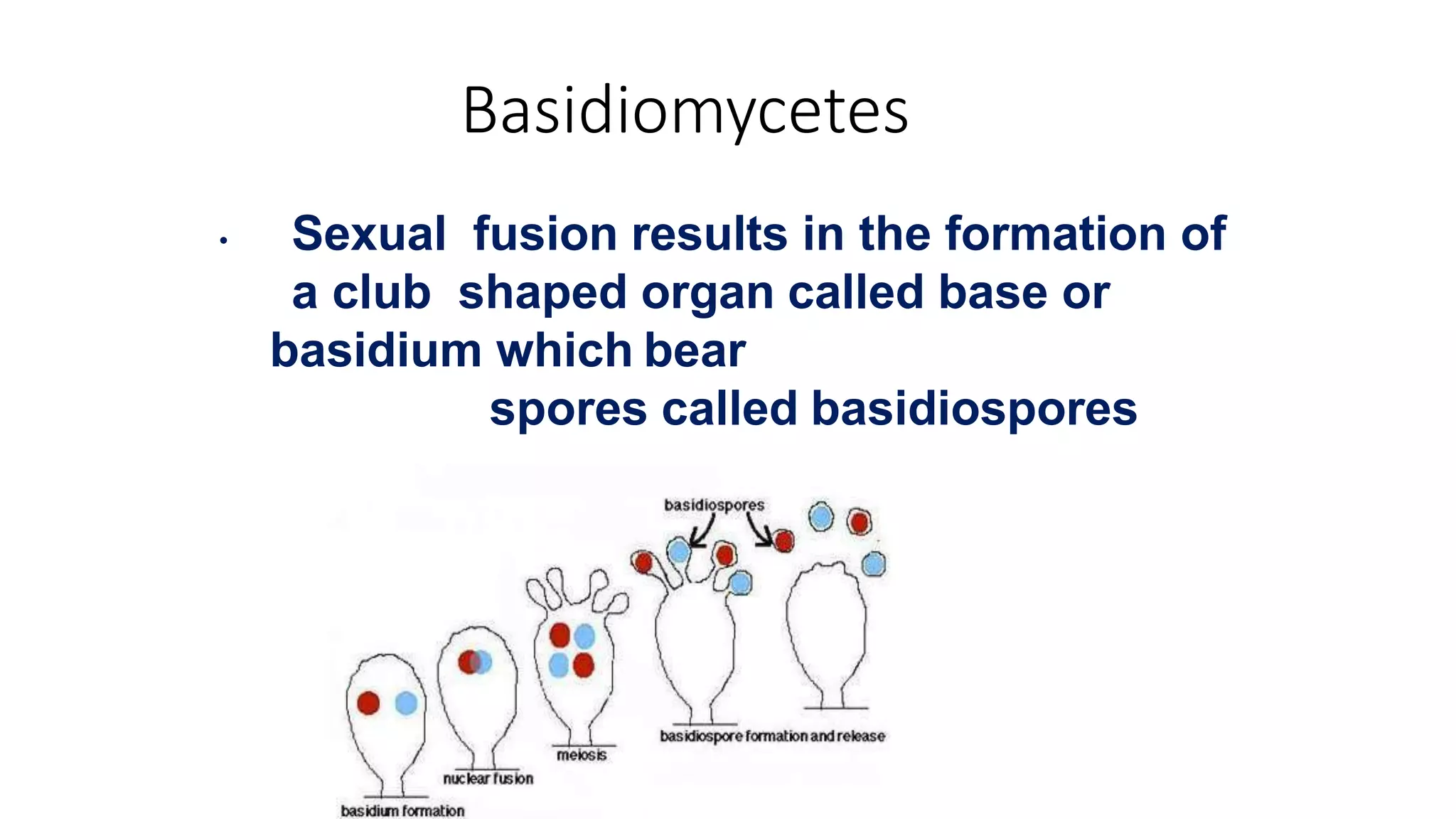 Lec 9. Intro myco1.pptx