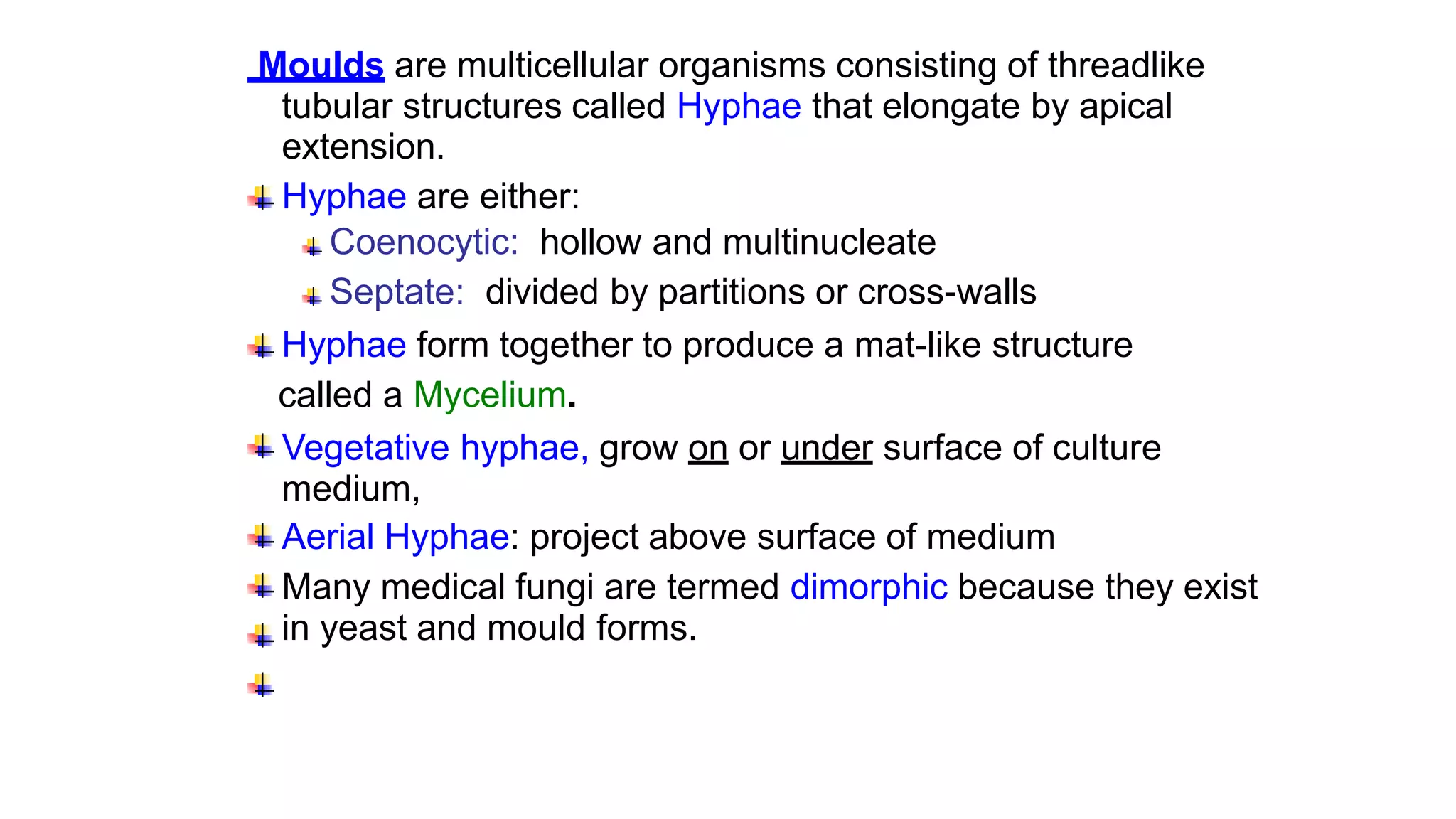 Lec 9. Intro myco1.pptx