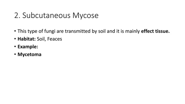 Lec 9. Intro myco1.pptx