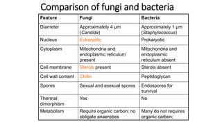 Lec 9. Intro myco1.pptx