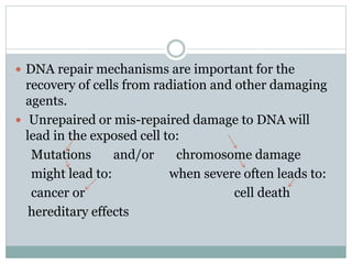 radiation effect on water, DNA damage lec 9.pptx