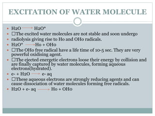 radiation effect on water, DNA damage lec 9.pptx