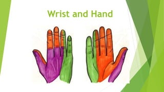 Lec#9-B.WRIST JOINT & HAND.presentation. | PPTX