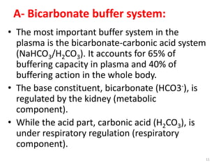 Lec 9 level 4-de (biological buffer) | PDF | Lung and Respiratory Health | Diseases and Conditions