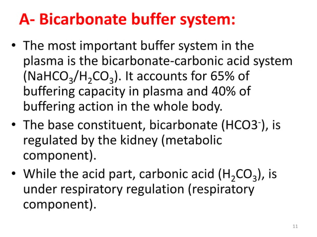 Lec 9 level 4-de (biological buffer) | PDF | Lung and Respiratory ...