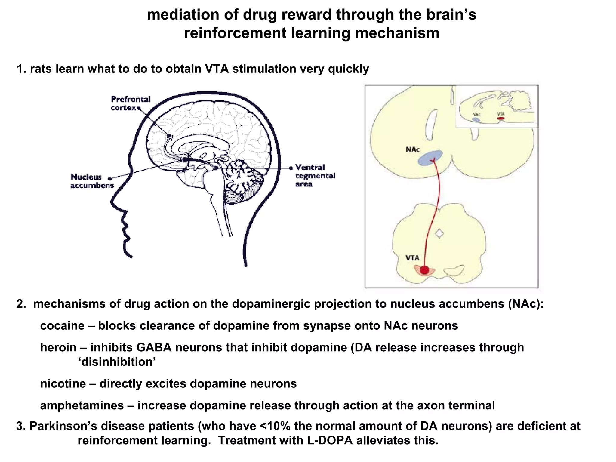 COGS 107B - Winter 2010 - Lecture 9 - Neuromodulators and Drugs of ...