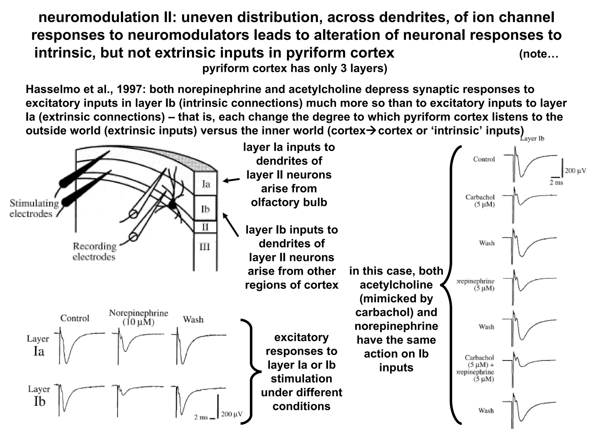 COGS 107B - Winter 2010 - Lecture 9 - Neuromodulators and Drugs of ...