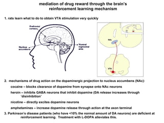 COGS 107B - Winter 2010 - Lecture 9 - Neuromodulators and Drugs of ...