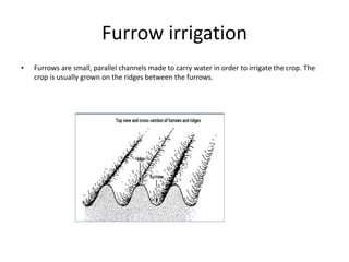 Lec 9 Border irrigation – Design and hydraulics.ppt