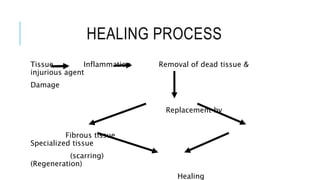 LEC 9 Healing process.pptx