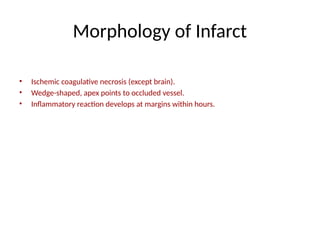 Tissue Death by Deprivation: The Mechanism of Infarction | PPTX
