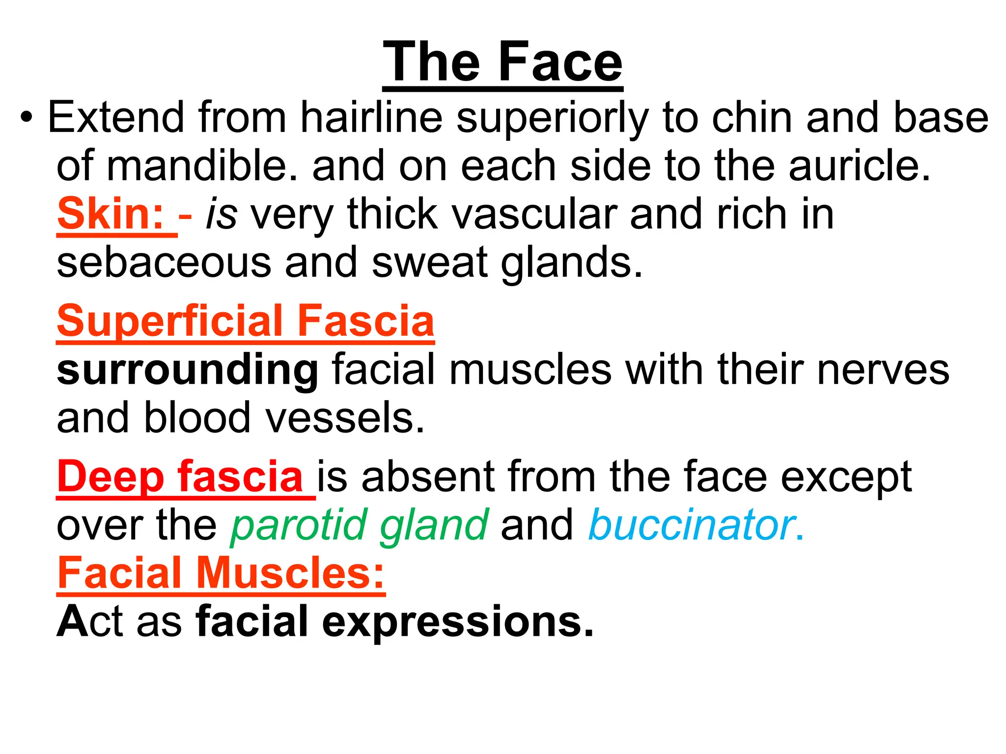 Lec 9 Superficial Structures of Head & Neck scalp - Copy.ppt