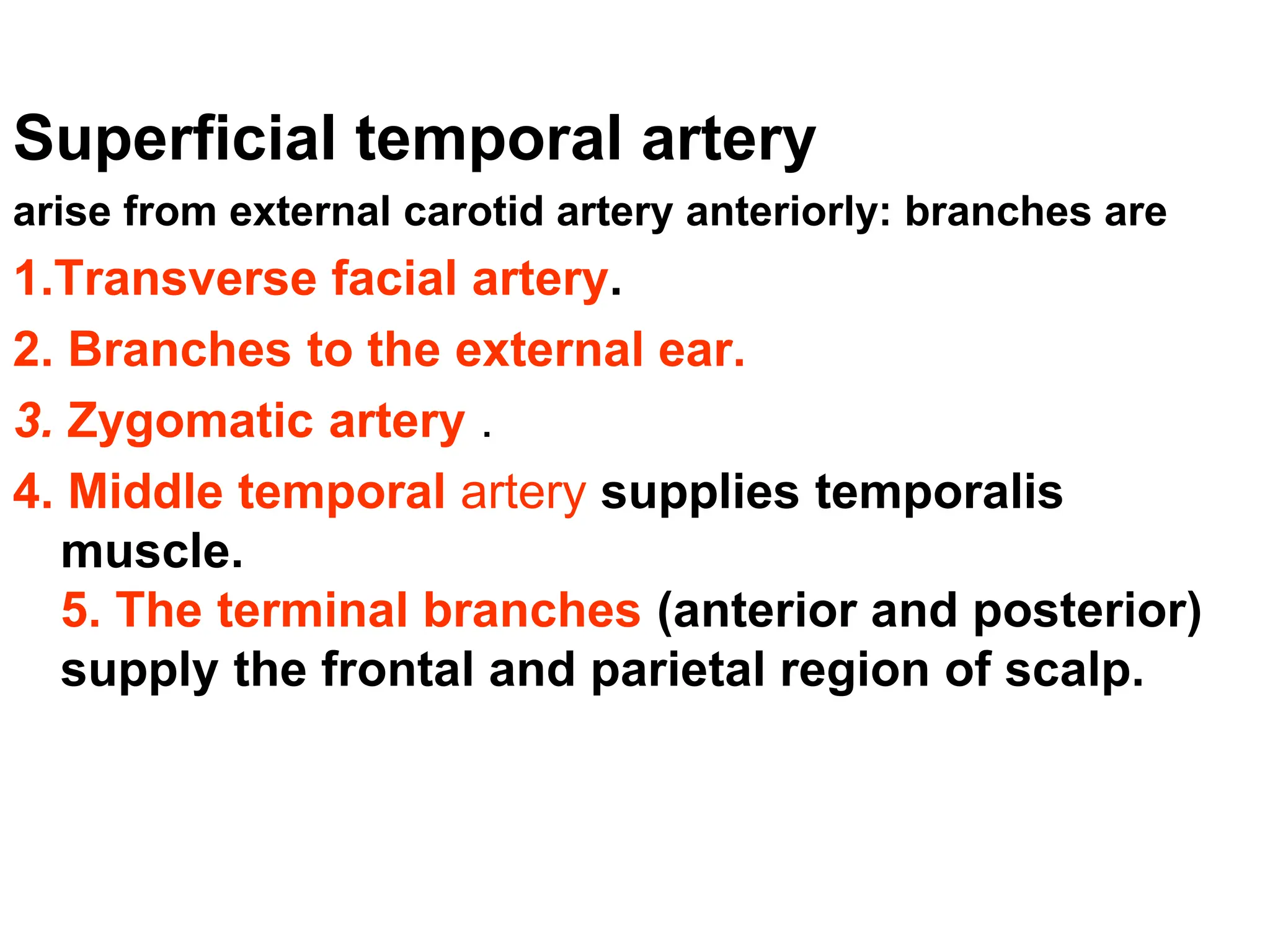 Lec 9 Superficial Structures of Head & Neck scalp - Copy.ppt