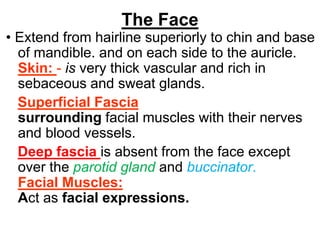 Lec 9 Superficial Structures of Head & Neck scalp - Copy.ppt