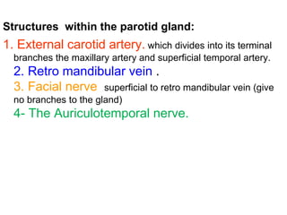 Lec 9 Superficial Structures of Head & Neck scalp - Copy.ppt