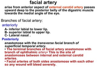 Lec 9 Superficial Structures of Head & Neck scalp - Copy.ppt