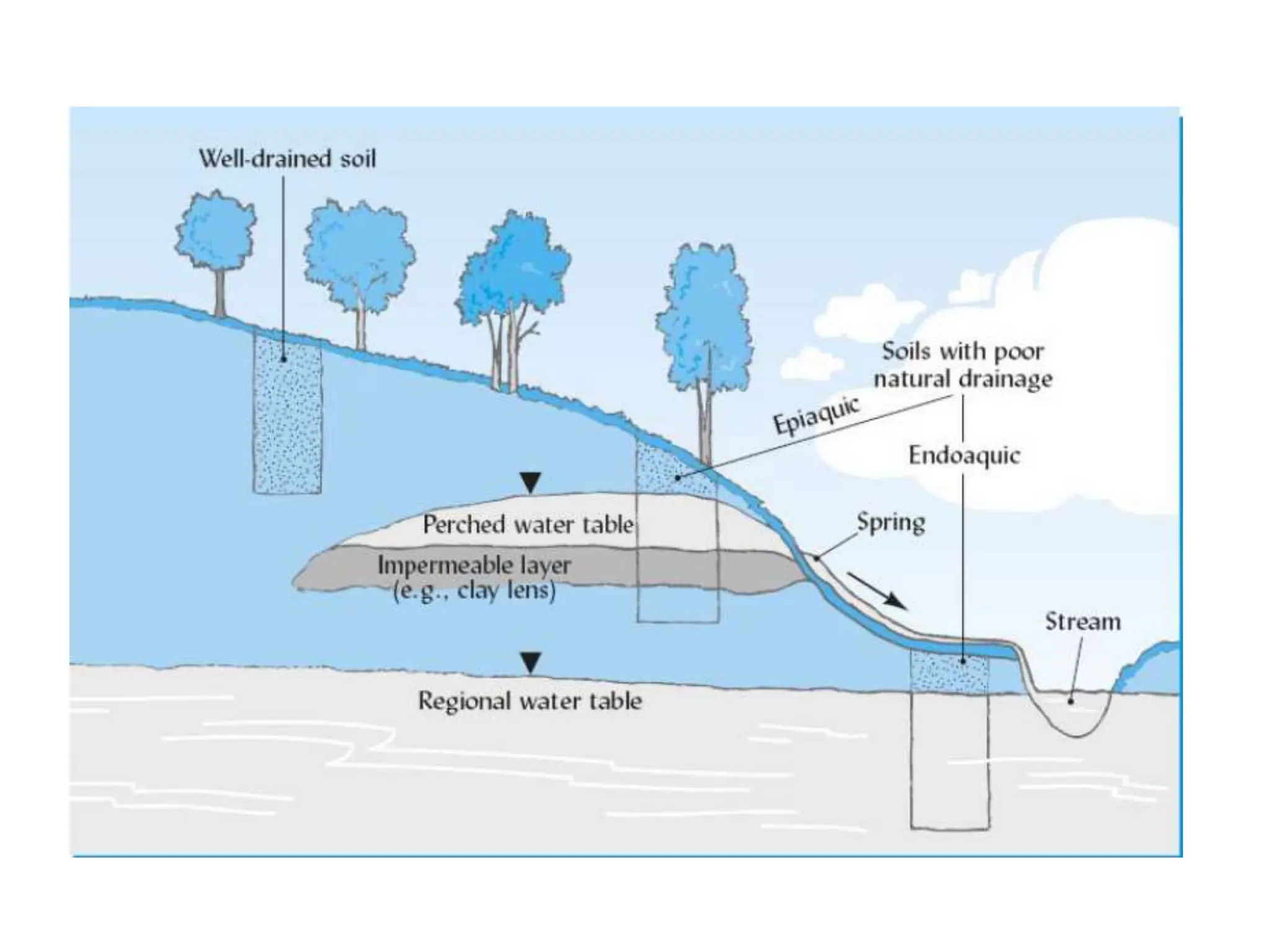 Waterlogging and Submergence stresses in plants | PPTX