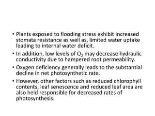 Waterlogging and Submergence stresses in plants | PPTX