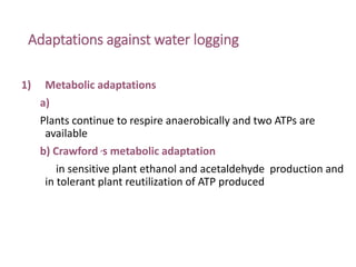 Waterlogging and Submergence stresses in plants | PPTX