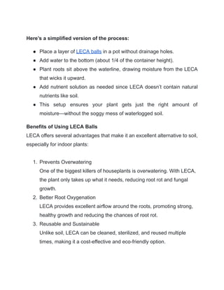 Everything You Need to Know About Using LECA Balls for Plants | PDF