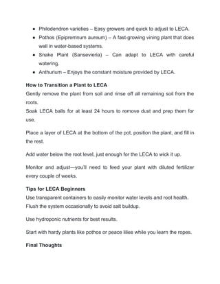 Everything You Need to Know About Using LECA Balls for Plants | PDF