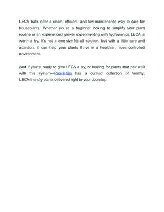 Everything You Need to Know About Using LECA Balls for Plants | PDF