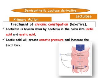 Carbohydrate and glucoslysis and sucrose | PPT