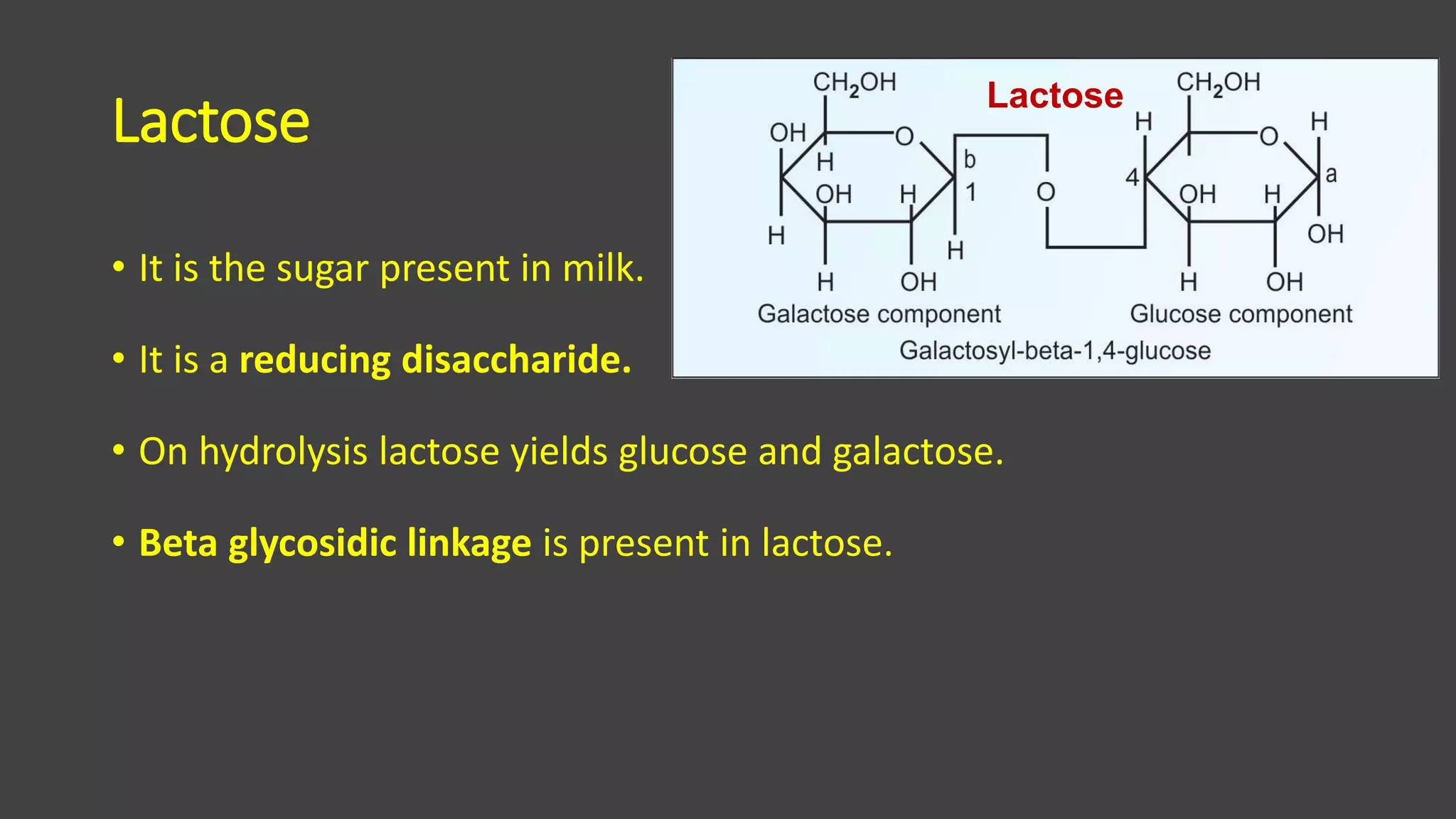 disaccharides | PPTX